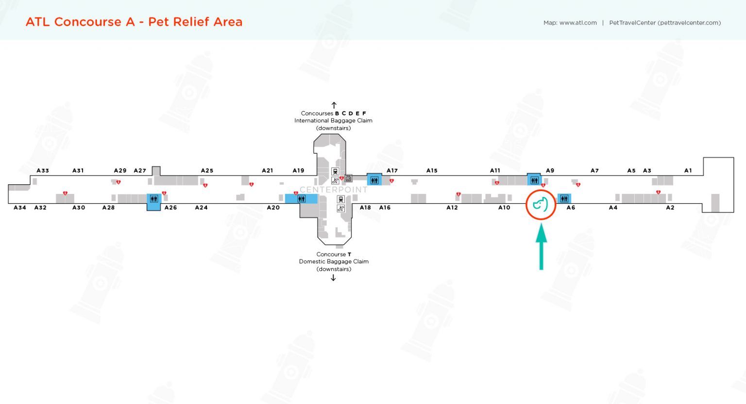Hartsfield–Jackson Atlanta International Airport (ATL) Pet Guidelines ...