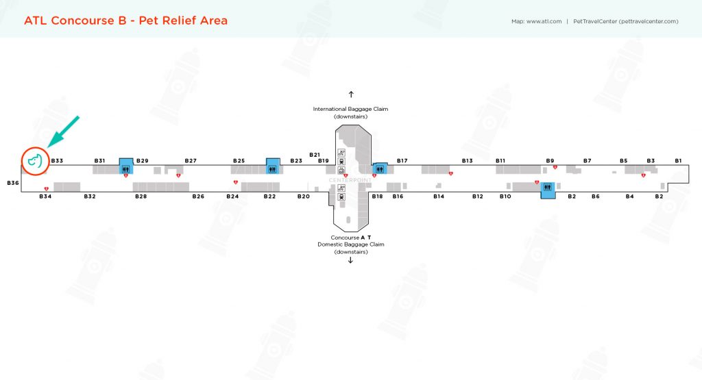 Hartsfield–Jackson Atlanta International Airport (ATL) Pet Guidelines ...