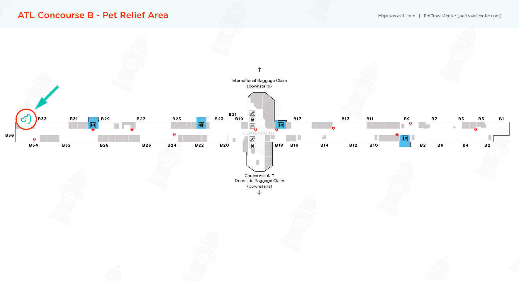 Hartsfield–Jackson Atlanta International Airport (ATL) Pet Guidelines ...